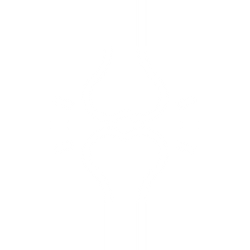 Bioxtron Collagen Peptides with AFA Algae + Resveratrol + Hyaluronic A ...