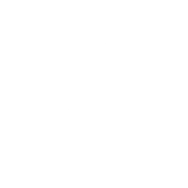 Bioxtron Collagen Peptides with AFA Algae + Resveratrol + Hyaluronic A ...