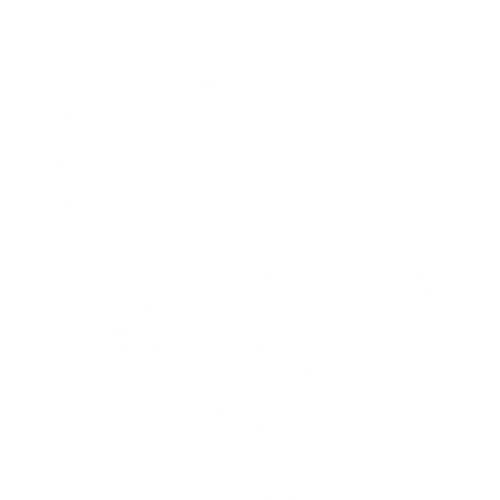 Bioxtron Collagen Peptides with AFA Algae + Resveratrol + Hyaluronic A ...