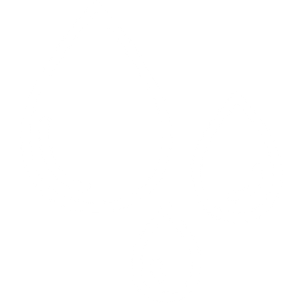 Bioxtron Collagen Peptides with AFA Algae + Resveratrol + Hyaluronic A ...